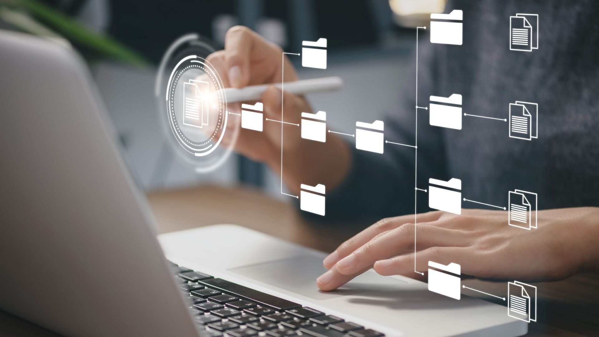 A Lighthouse in a Data Storm: Building a Database of Hundreds of ...