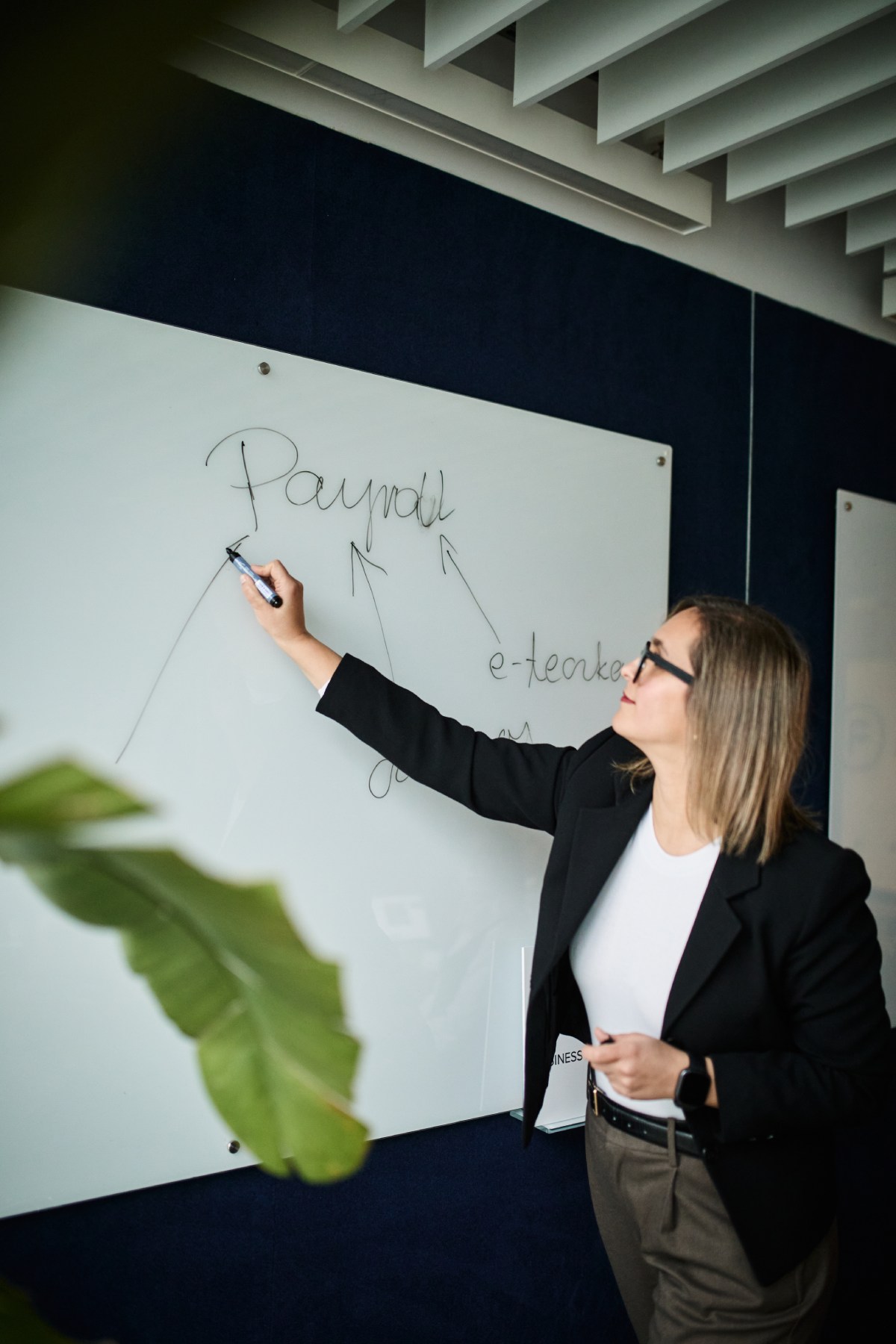 Local Payroll - BPiON Services